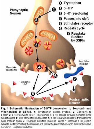 GOTAS SUBLINGUAIS SONÍFERAS E ANTIDEPRESSIVAS
